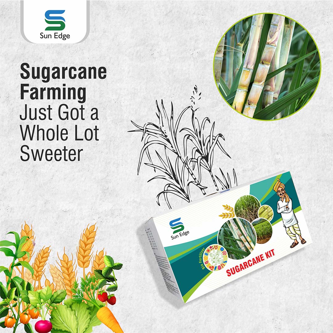 Sugarcane Kit 2.5KG - Sunedge