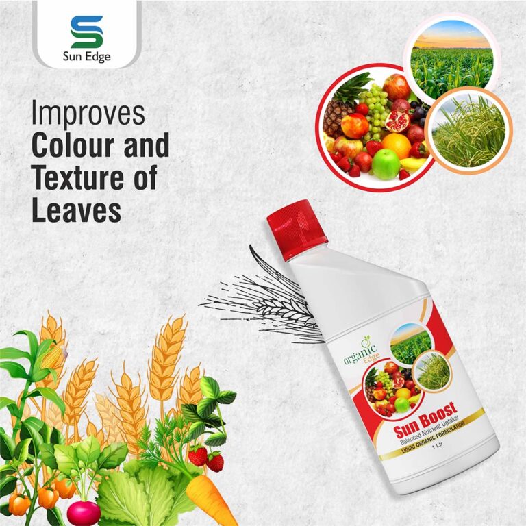 Sun Boost 500ml - Sunedge