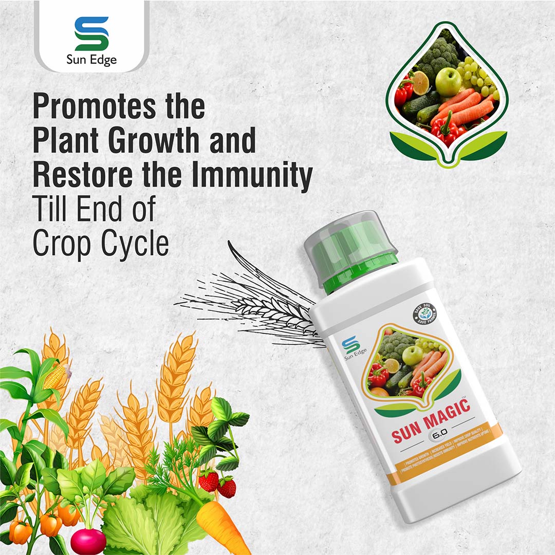 Sun Magic 6.0 500 ML - Sunedge