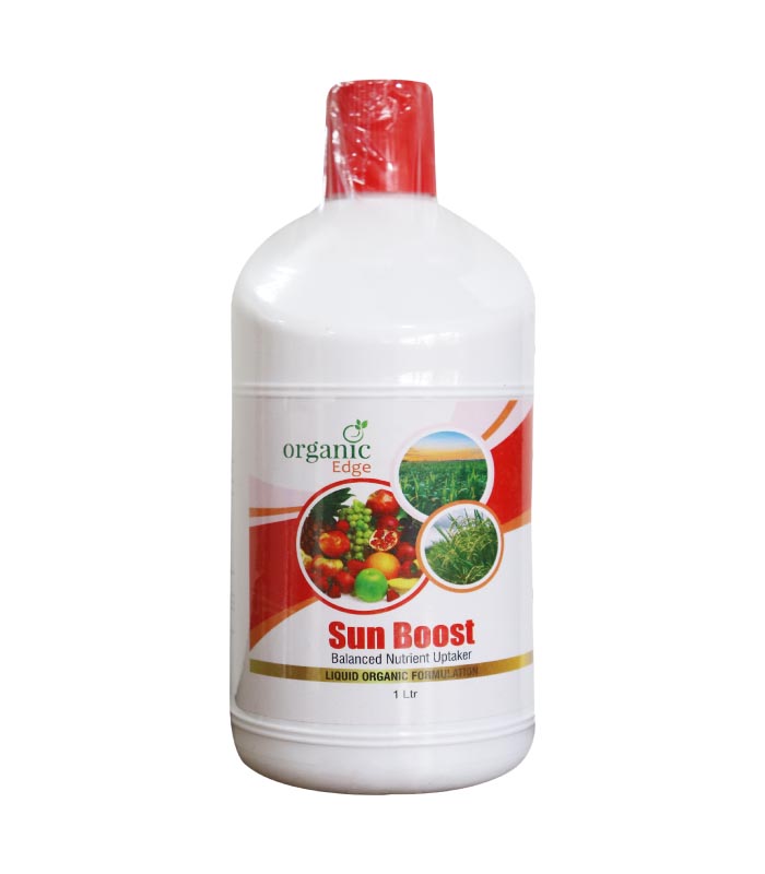 Sun Boost Small 500ml - Sunedge